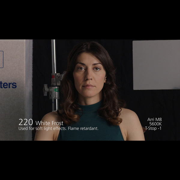 LEE Filters 220 White Frost Lighting Gel - LEE Filters Direct USA